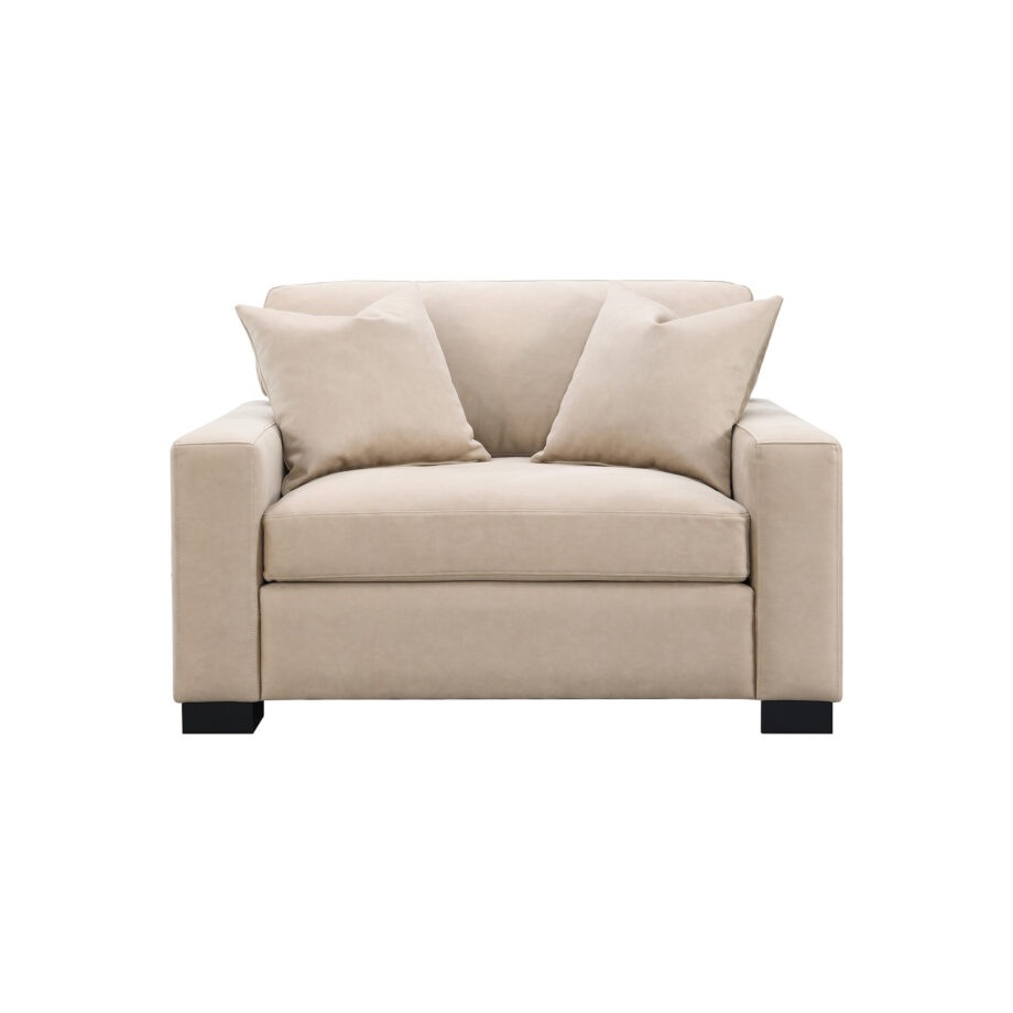 Dexter Double Chair w/2 Pillows - intercon-furniture